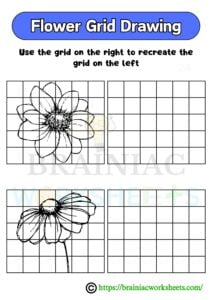 Flower Grid Drawing Class 5 Worksheet - Brainiac Worksheets