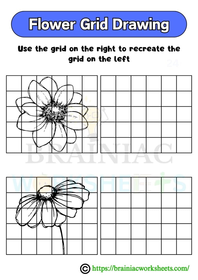 Flower Grid Drawing Class 5 Worksheet - Brainiac Worksheets