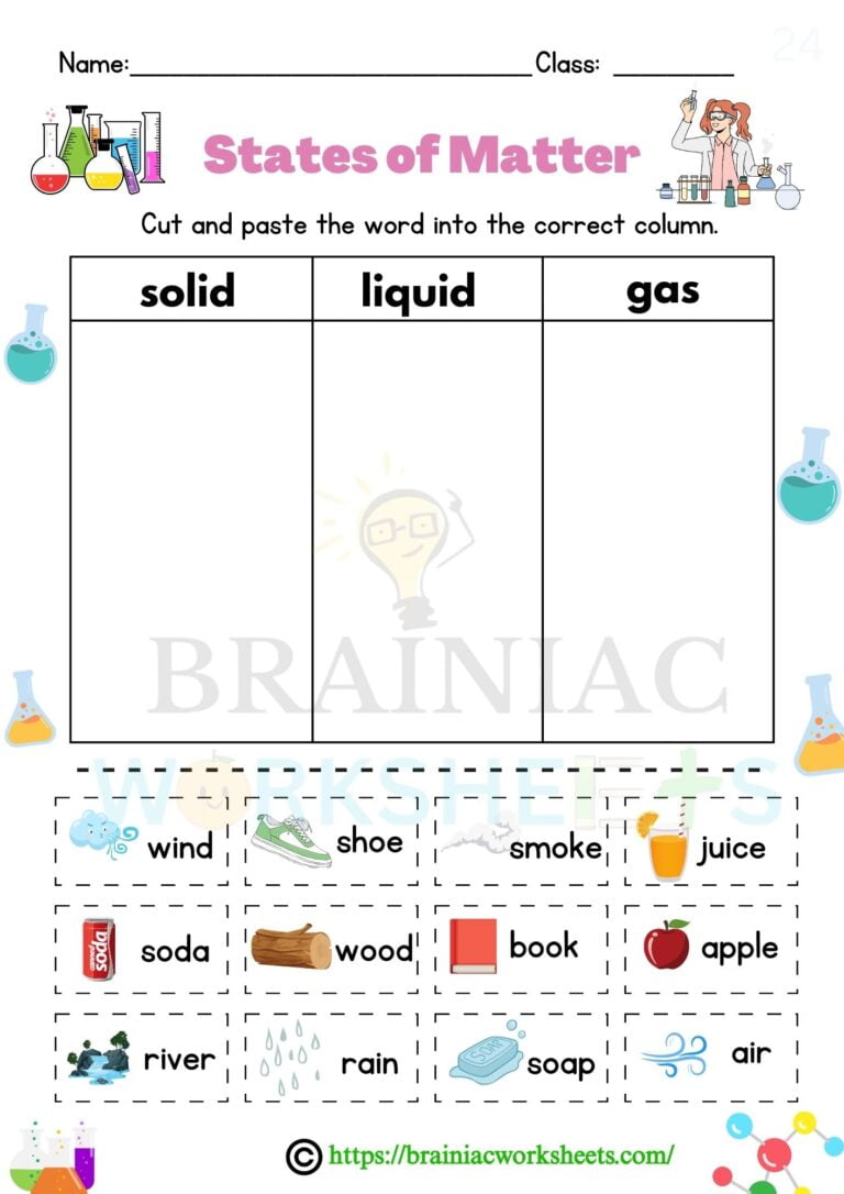 States of Matter Sorting Class 3 Science Worksheet - Brainiac Worksheets