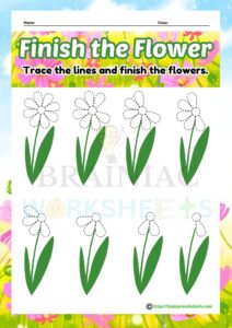 Flower Petal Tracing Ukg Drawing Worksheet - Brainiac Worksheets