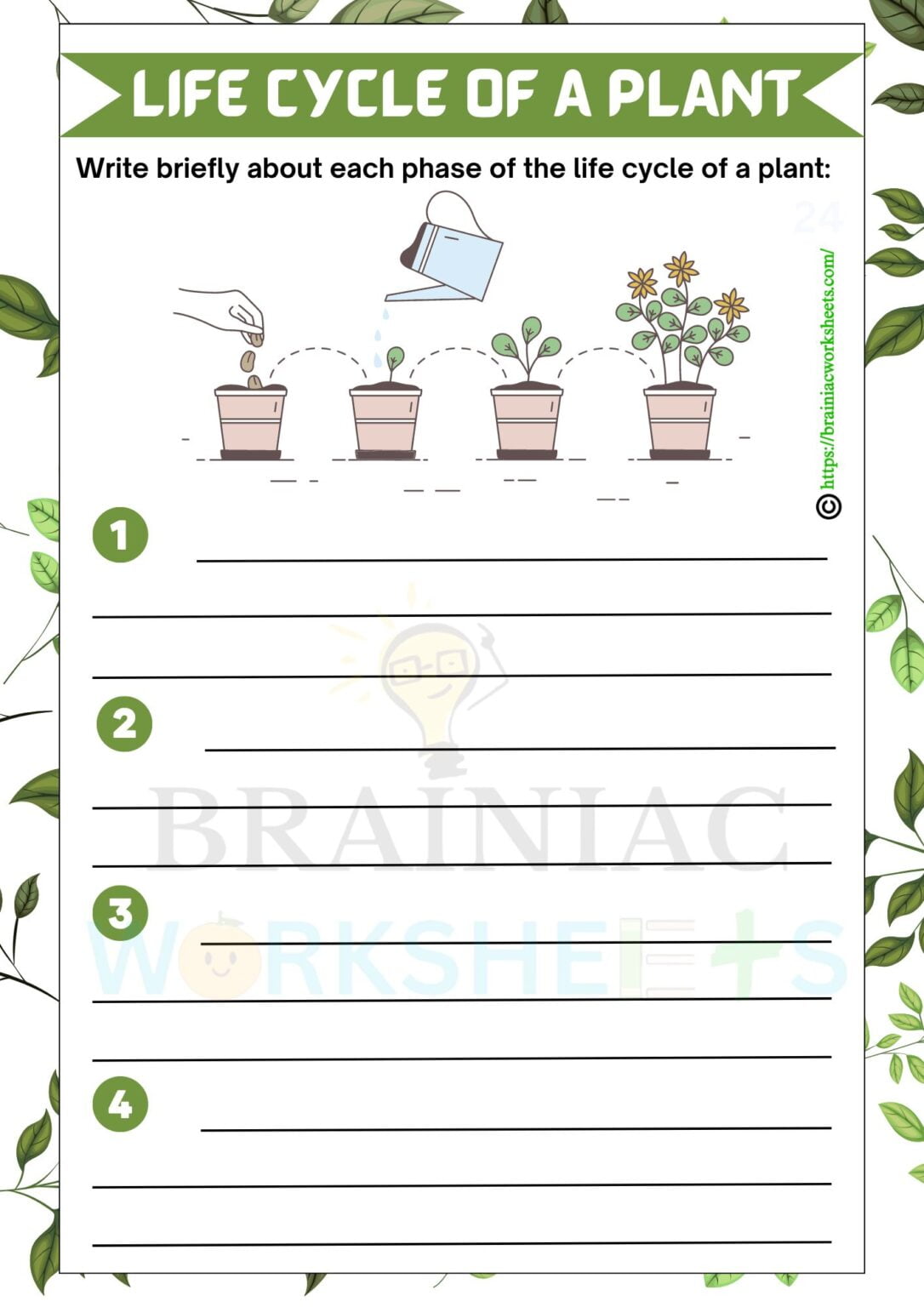 Life Cycle of a Plant Science Worksheet For Class 4 - Brainiac Worksheets