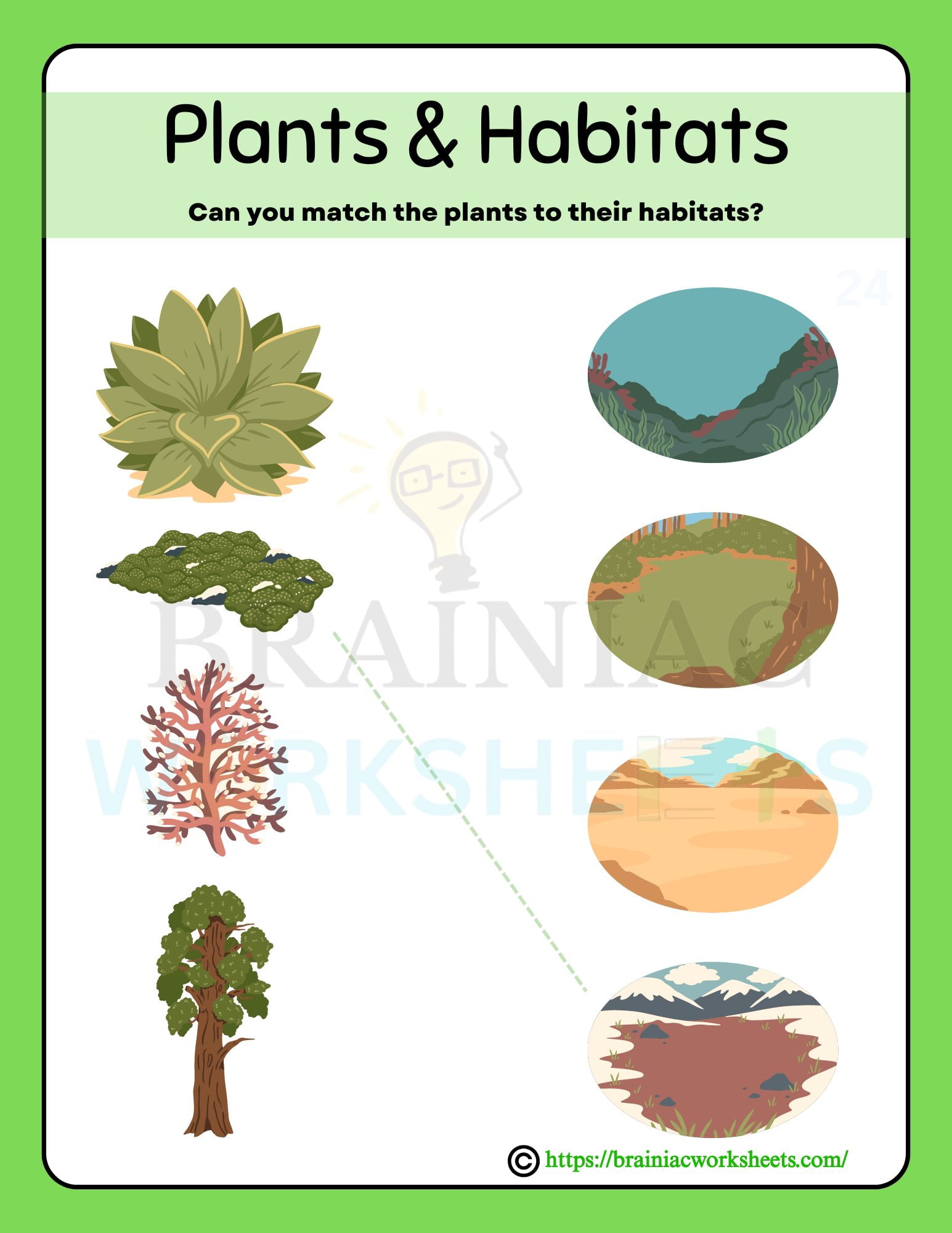 Plants and Habitats Matching Science Worksheet For Class 2 - Brainiac ...