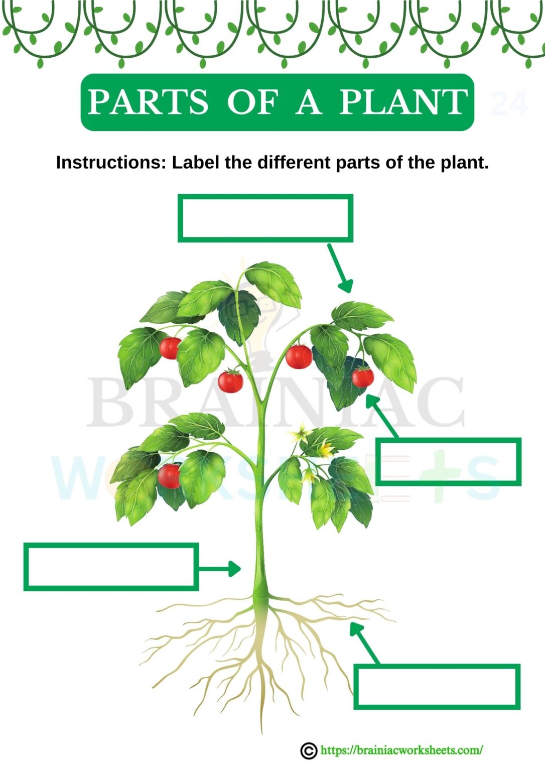 Label The Parts Of A Plant Science Worksheet For Class 2 - Brainiac ...