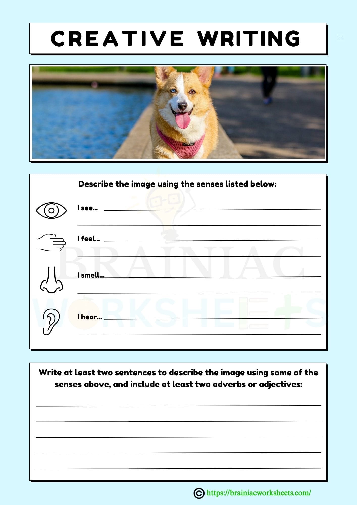 Dog Visual Prompts 5 Senses Creative Writing English Worksheet For ...