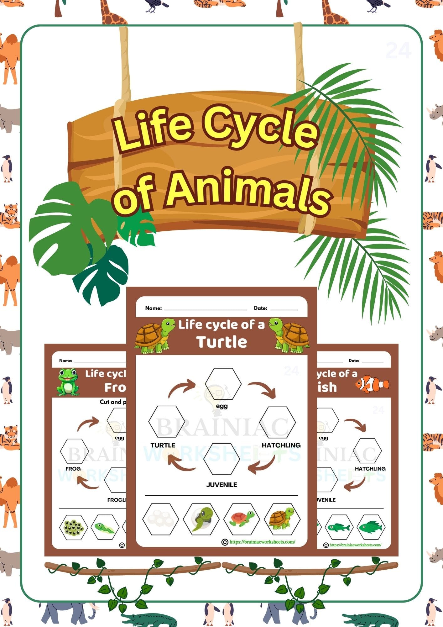 Life Cycle of Animals Cut And Paste Science Workbook For Class 3 ...