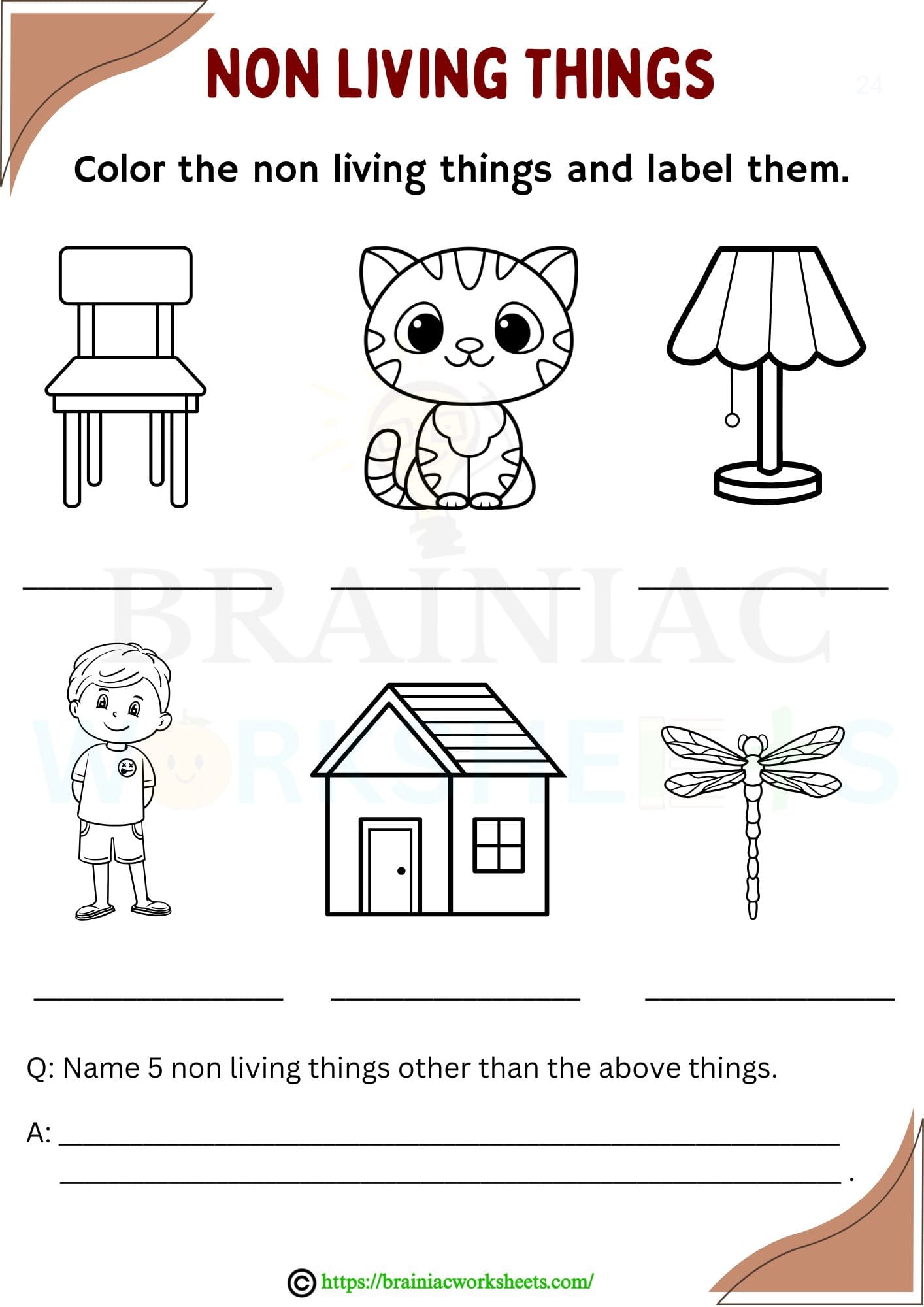 Non Living Things Science Worksheet For Cass 1 - Brainiac Worksheets