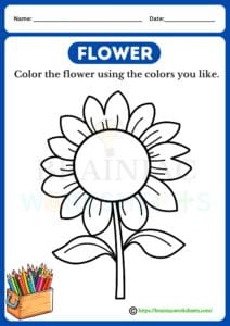 Lkg - Brainiac Worksheets