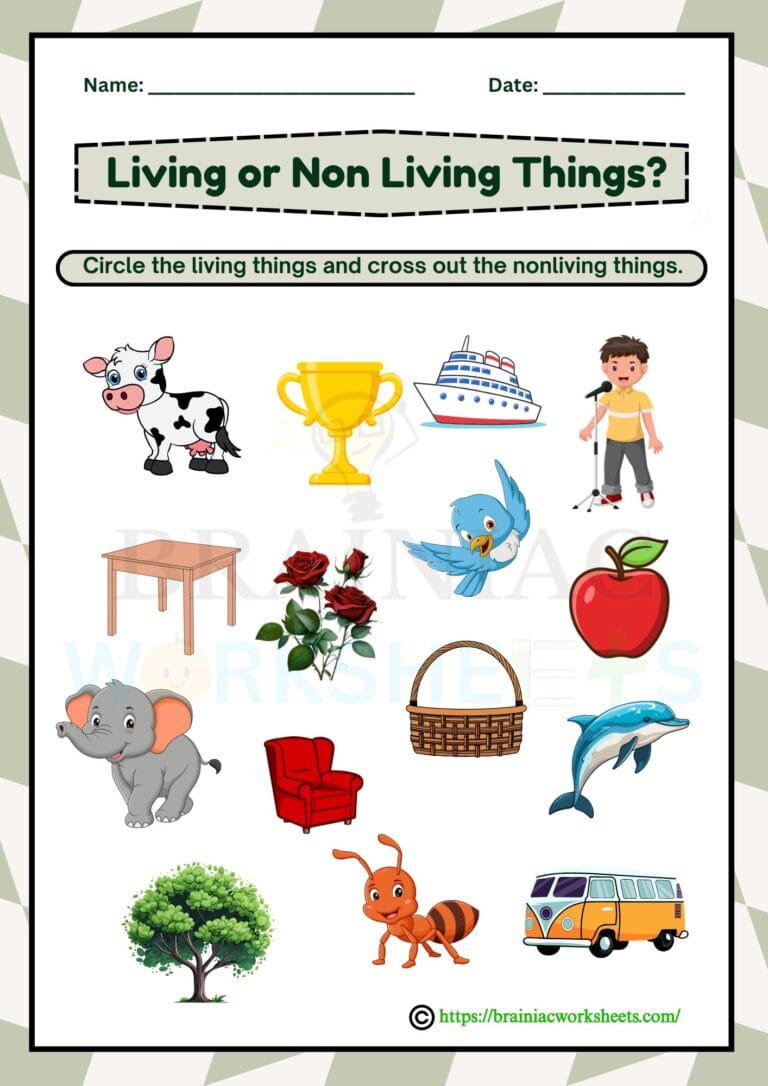 Living Or Non Living Things Science Worksheet For Class 1 - Brainiac ...